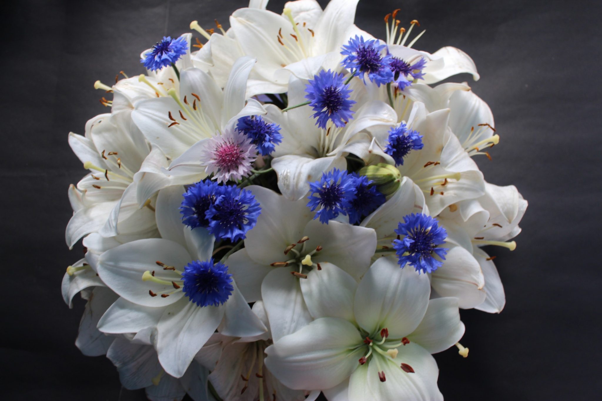 Buy Fresh White Lily Bunch - BloomyBliss