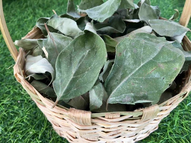 Buy Dried Parijat Leaves | Harshringar Patta - BloomyBliss