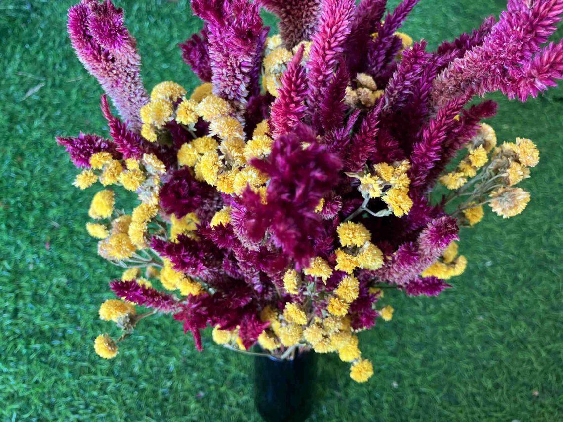 Buy Yellow Burgundy Dried Flowers Bouquet - BloomyBliss